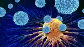 GMP-Services (Pharma, Biotech & ATMP) | Valicare GmbH | Valicare GmbH