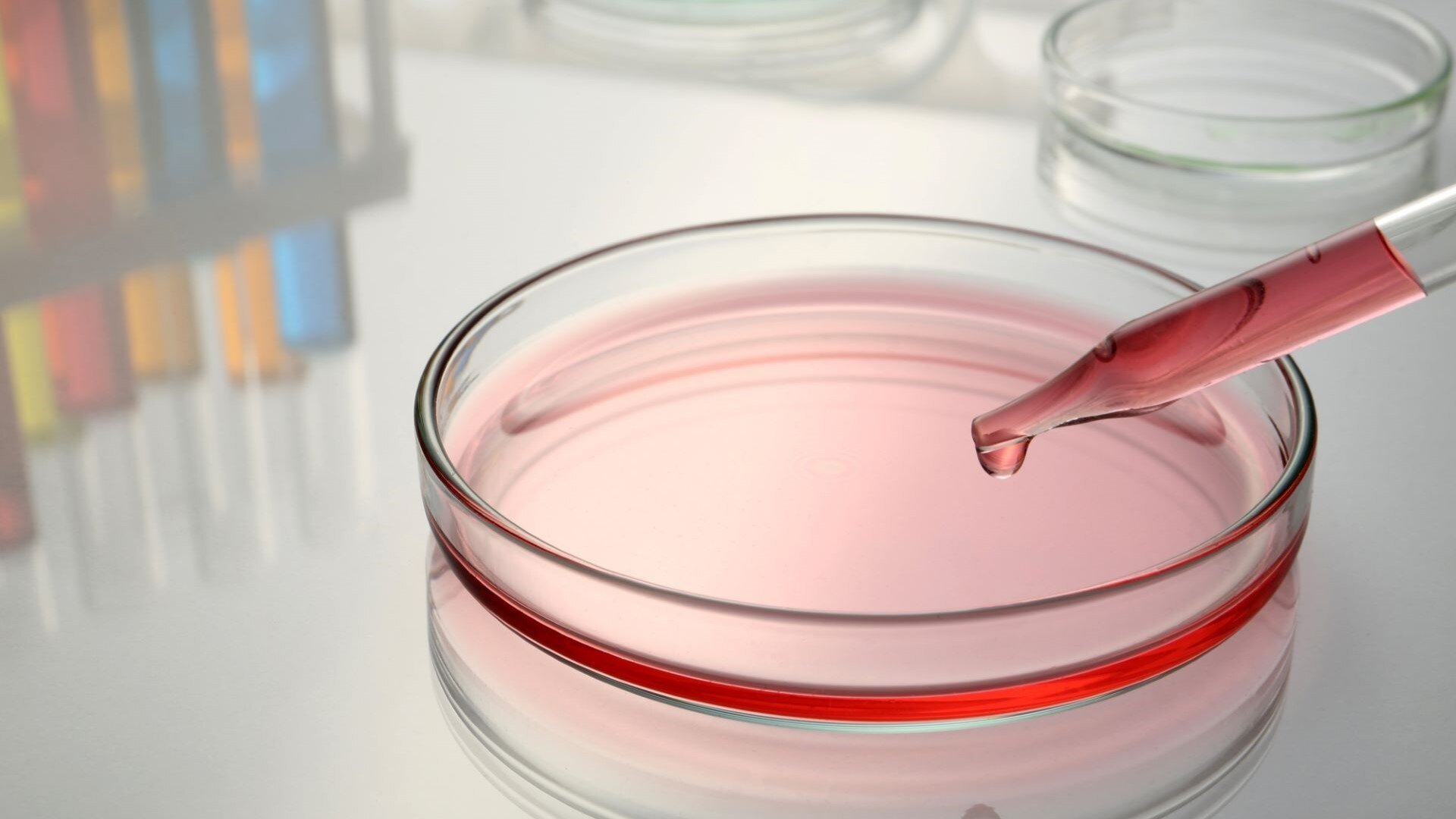 GMP Service Packages for Cell and Gene Therapeutics | Valicare GmbH ...